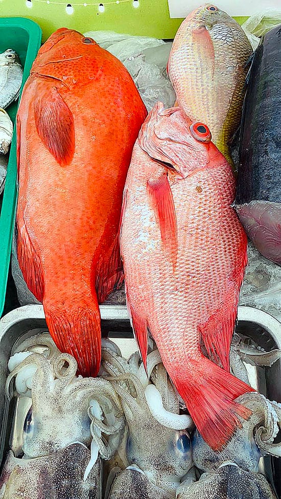 SOMO Weekend Market: A feast for the senses - Property Report